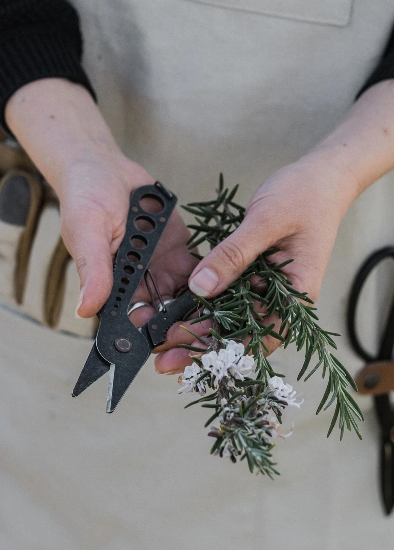 Herb & Harvest Strip Tool - FLORA ANIMALIA