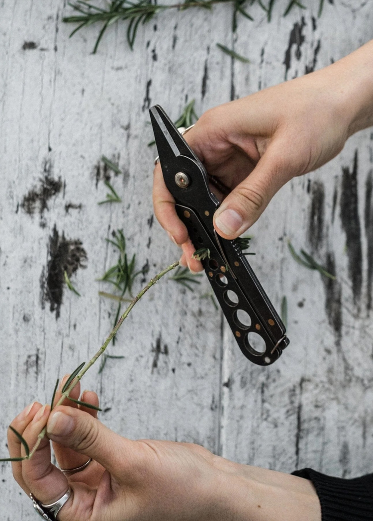 Herb & Harvest Strip Tool - FLORA ANIMALIA