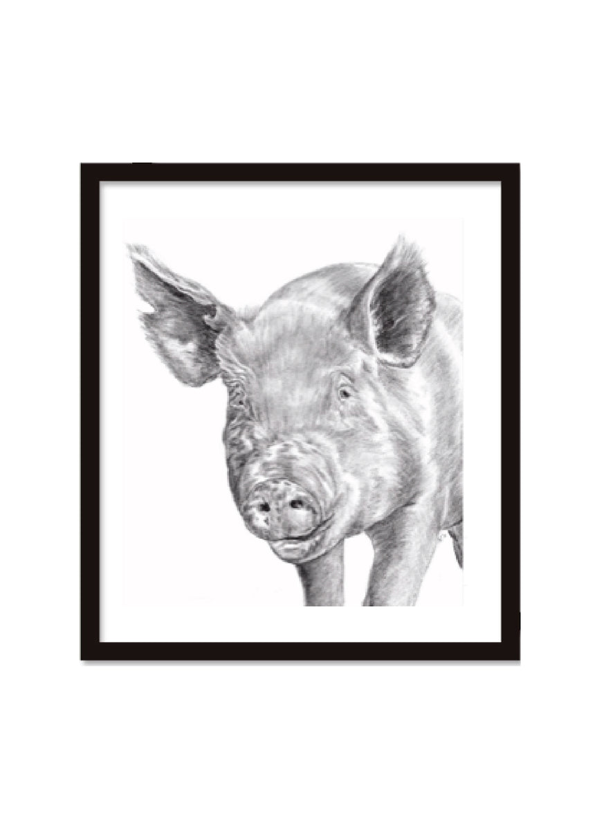 Mina Wright Rescued Pig Printed Graphite Drawing 1 | FLORA ANIMALIA