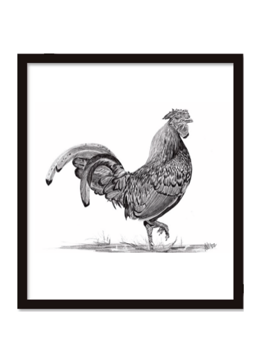 Mina Wright Rescued Chicken Printed Graphite Drawing | FLORA ANIMALIA