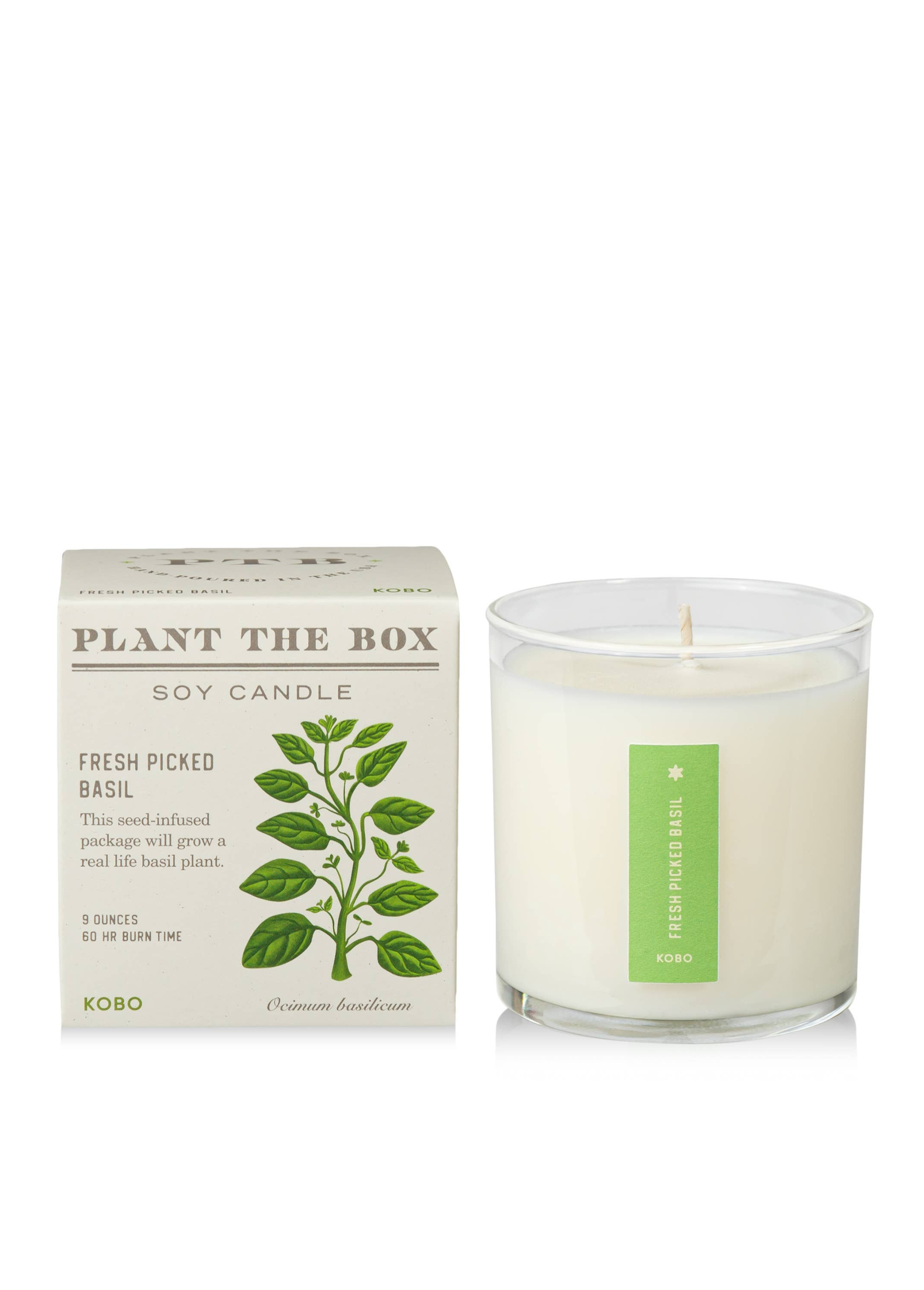 Fresh Picked Basil - Plant the Box Candle - 9oz. - FLORA ANIMALIA