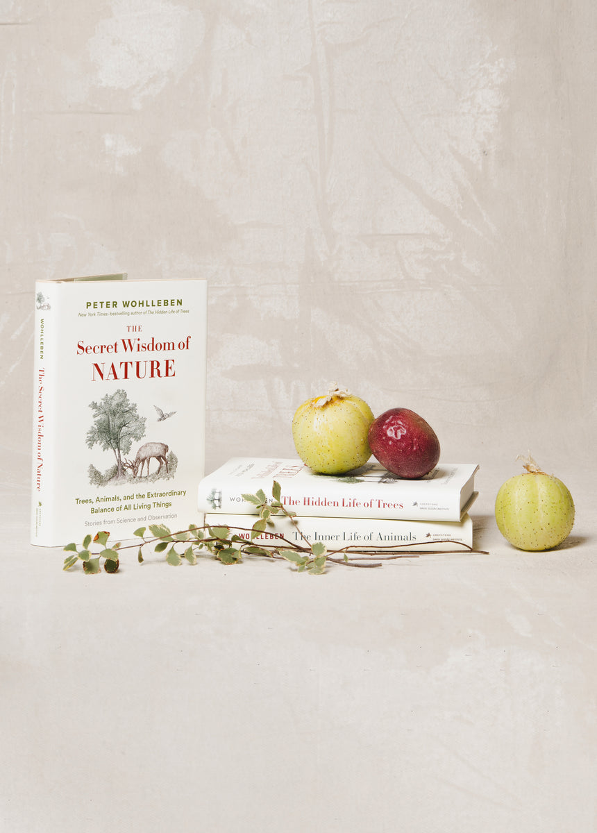 The Secret Wisdom of Nature | FLORA ANIMALIA